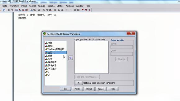 【SPSS】第16讲 哑变量的设置