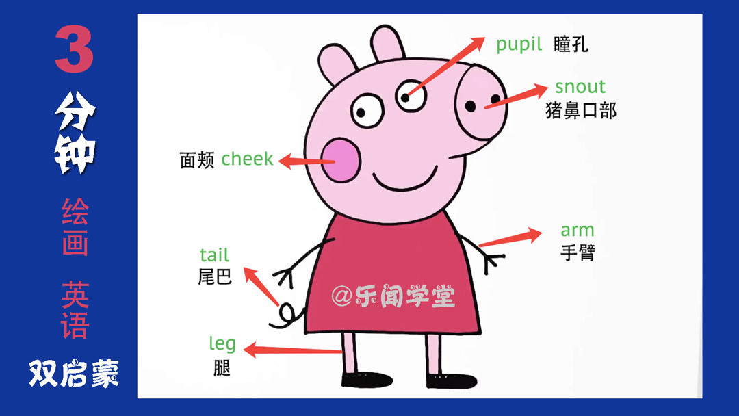 3分钟画个可爱的小猪佩奇绘画视频教程,英语绘画#儿童启蒙教育#