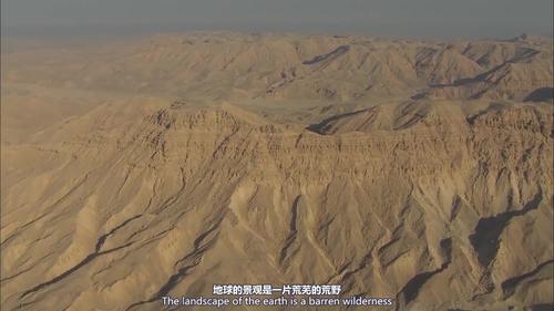 古生物进化史:原来动物的进化历程这么艰难