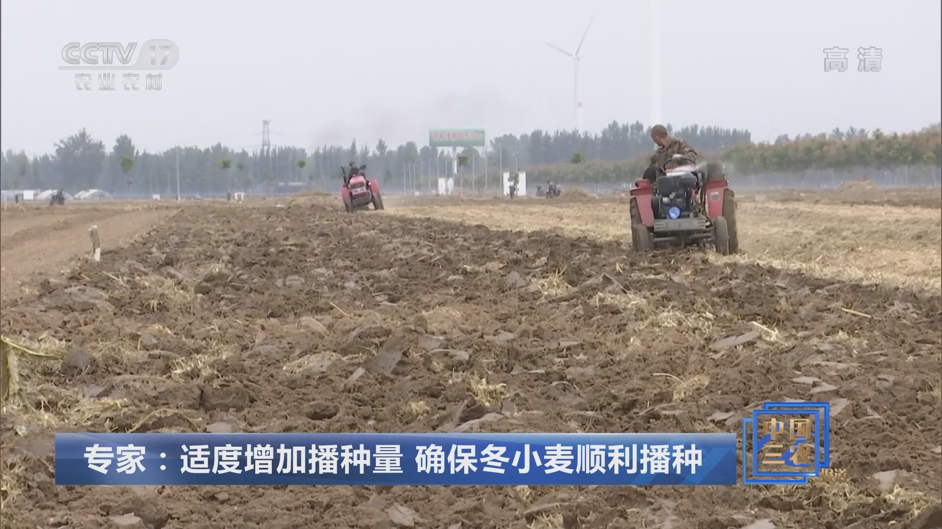 [中国三农报道]专家:适度增加播种量 确保冬小麦顺利播种