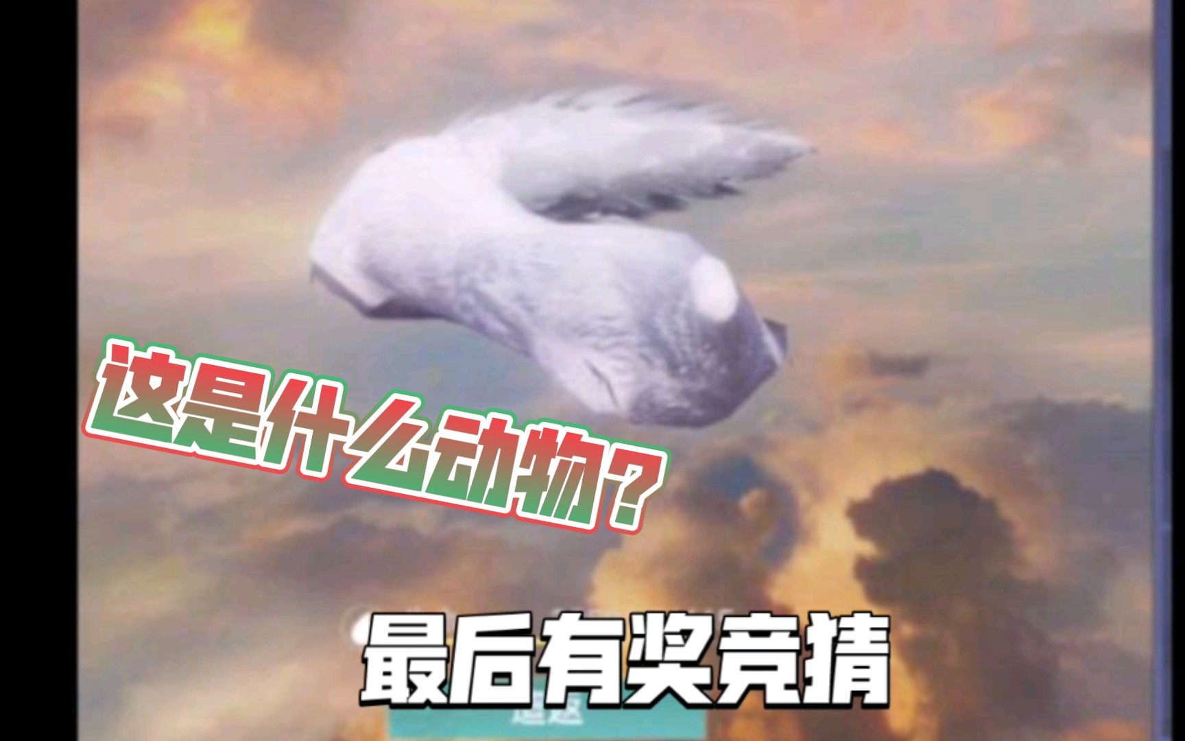 妄想山海 你们的宠物真的能过审核吗