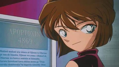 名侦探柯南剧场版普通话版新的危险出现