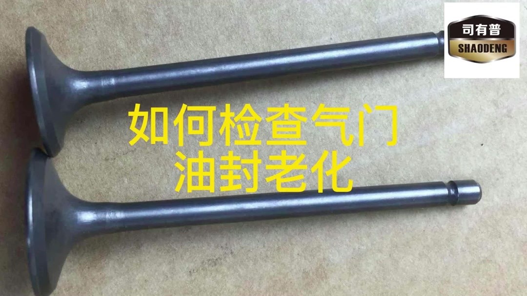 汽车烧机油一定要更换气门油封吗?如何正确的检查气门油封