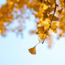 和相待的人在一起学 