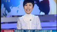 泰国迎来“大象日” 呼吁公众保护大象 财经早班车 120315