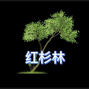 大庆红标体育用品 