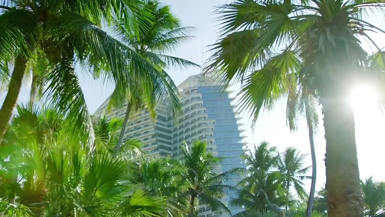 三亚:创建森林城市,共筑绿色家园#三亚