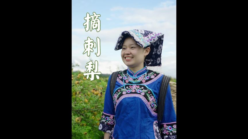 摘点刺梨泡酒喝,今年冬天不怕冷。#刺梨 #贵州