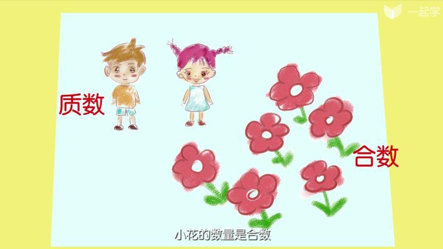 质数和合数