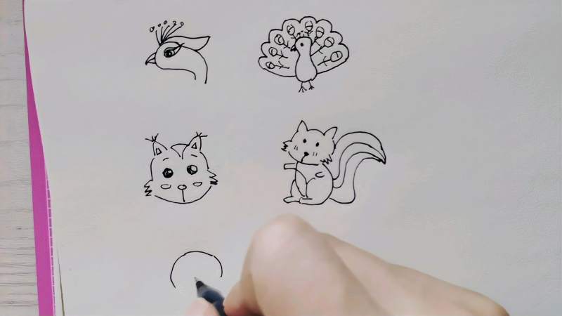 有趣简笔画:画孔雀和小松鼠,简单好学还可爱