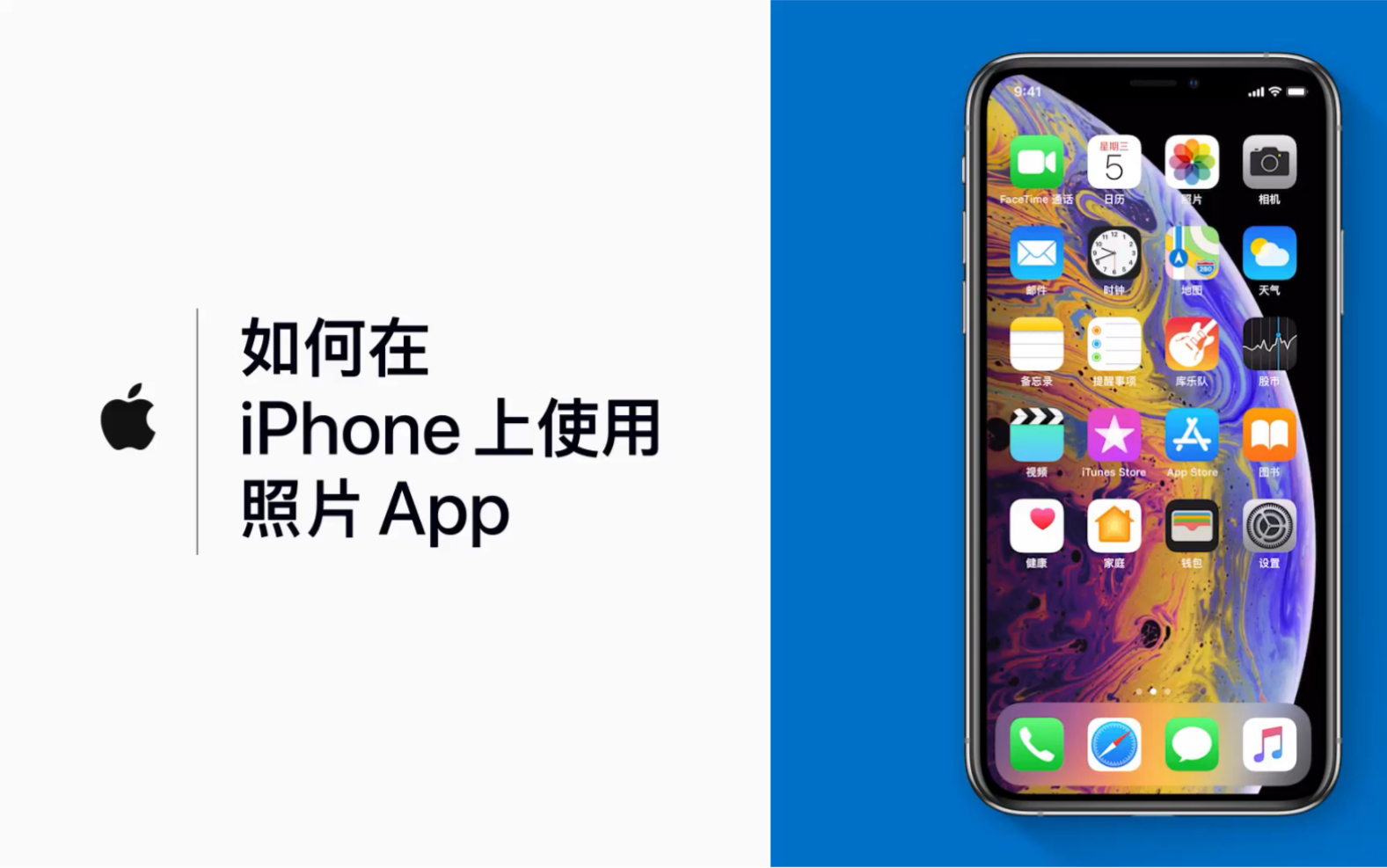 苹果 中国大陆 如何在 iPhone 上使用“照片” App