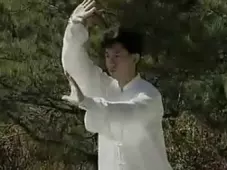 杨氏太极拳24教学视频_太极拳培训日程安排_观音太极拳音乐下载
