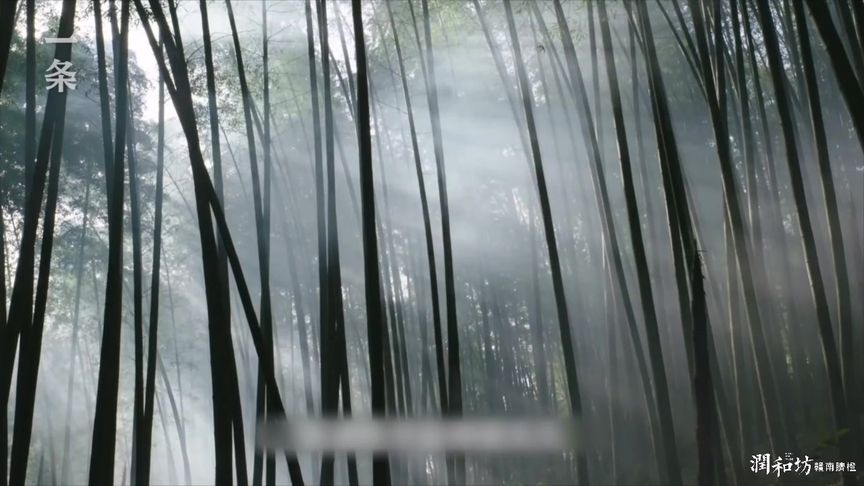 35000种中国植物,是如何影响整个世界,是中国人拍摄的植纪录片
