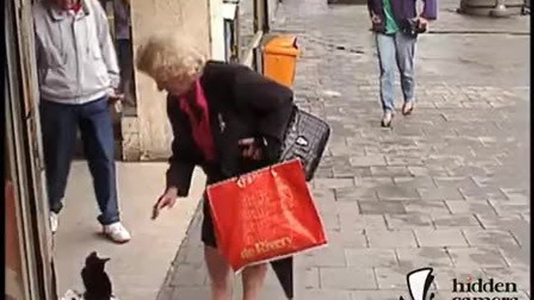 搞笑视频_搞笑图片_会狗叫的猫(标清版)