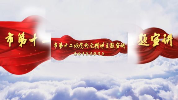 市第十二次党代会精神主题宣讲(第六期)#党代会精神#医保人