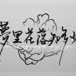 梦里花落人肠断 