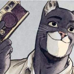 拖运喵 