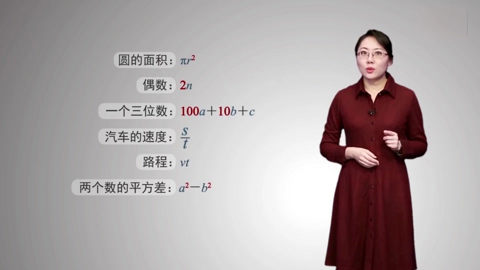 初一数学 整式概念再认识