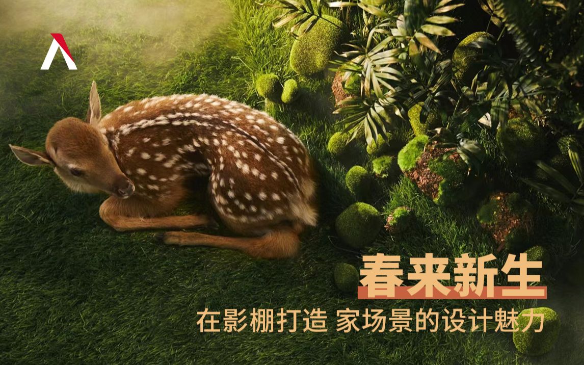 【爱图仕直播回顾】在影棚,让家场景充满设计魅力! 林欣国老师直播回顾