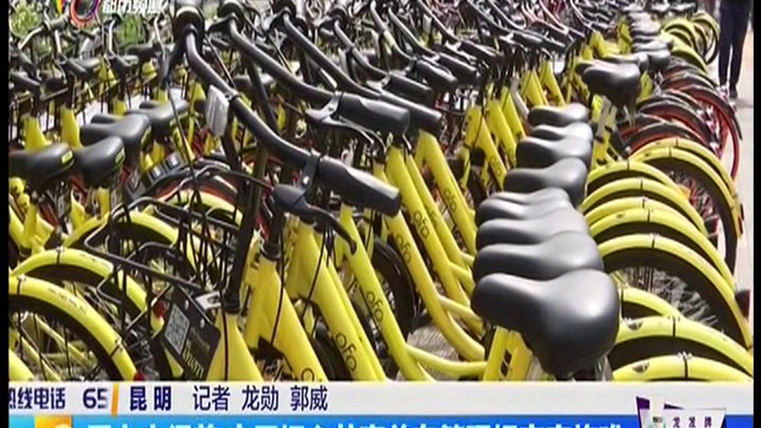 看上去很美 市民担心共享单车管理规定实施难