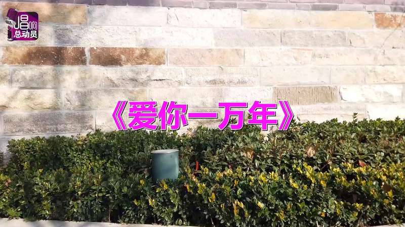 一曲刘德华的经典《爱你一万年》歌词与旋律朗朗上口