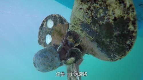 可怕的,空泡现象,小小水泡能让螺旋桨千疮百孔,什么原理?