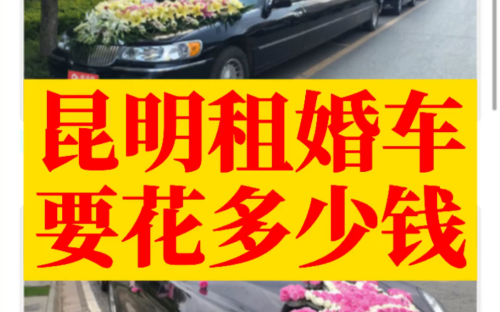 昆明租婚车一般要花多少钱?昆明婚车租赁价格一览表来啦 #婚车 #婚庆...