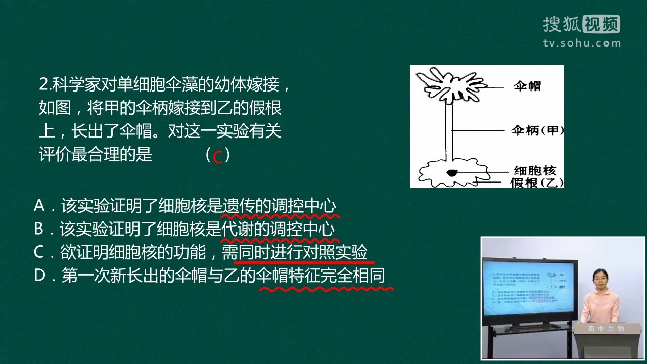 生物02 细胞的基本结构 中
