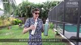 【IT全播报】传iPhone 7将有三个版本 液氮喷射枪夏季降温