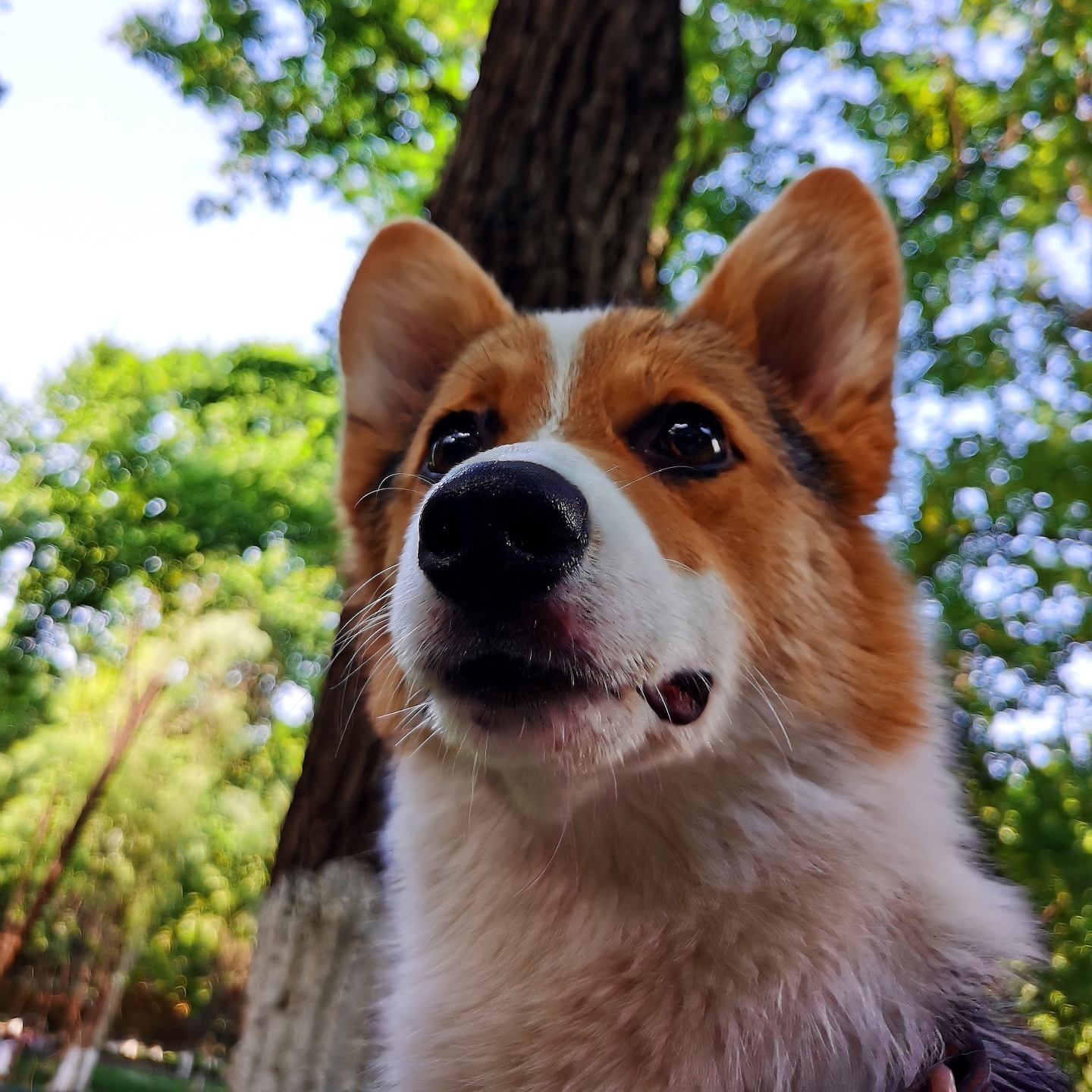 JayChen带你看世界 