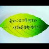旷野牧风80387752 