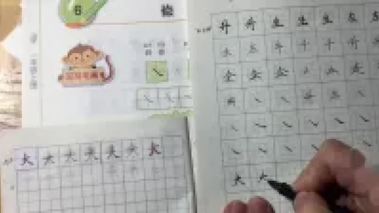 一年级上硬笔书法 大字