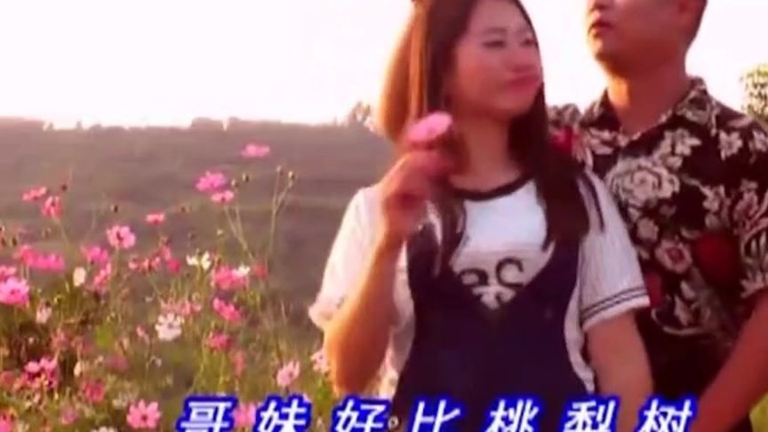 云南山歌:哥妹好比桃梨树,开花结果永相连