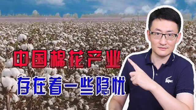 中国棉花产量世界第二,却不能满足国内需要,只能靠大量进口