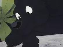 丛林里的故事 03.狼王亚历山大