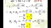 《一元二次方程根与系数的关系》教学课例(全国交流课)