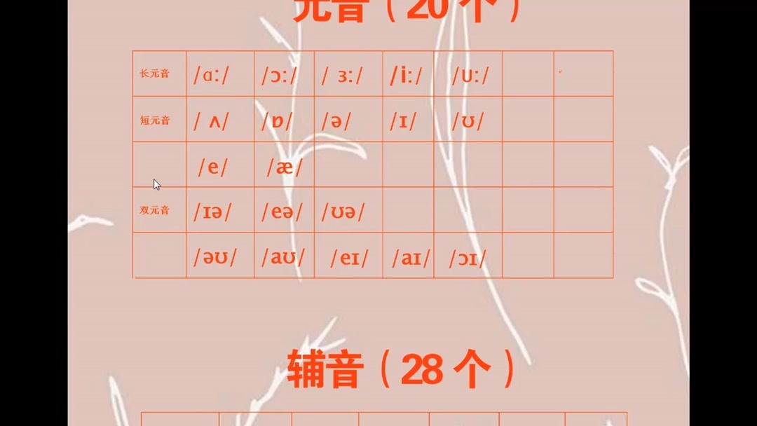 英语教程,国际音标48个正确读音,老师一步一步教会你