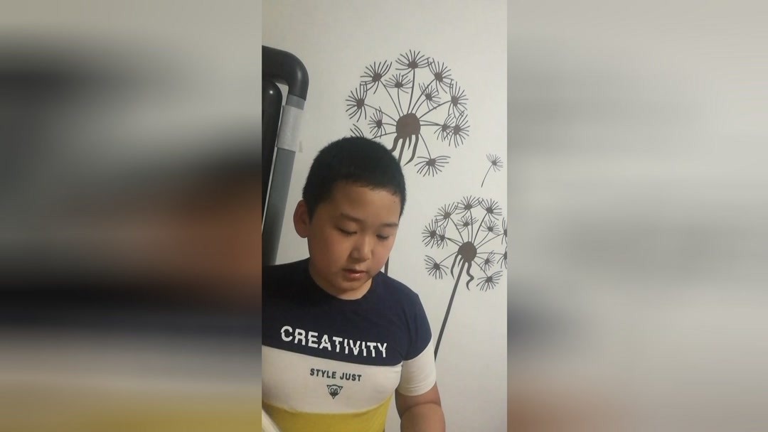 一个豆荚里的五粒豆
