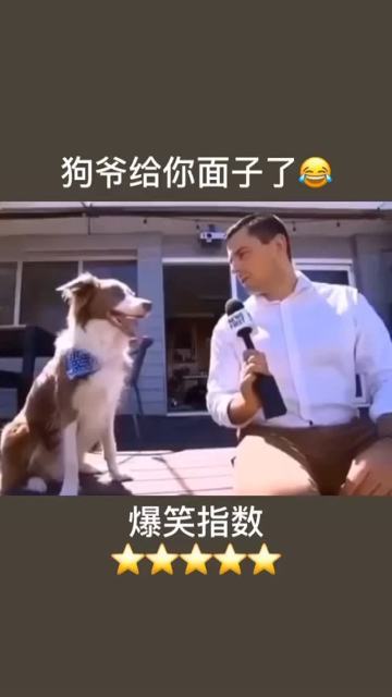 采访不存在,哈哈哈