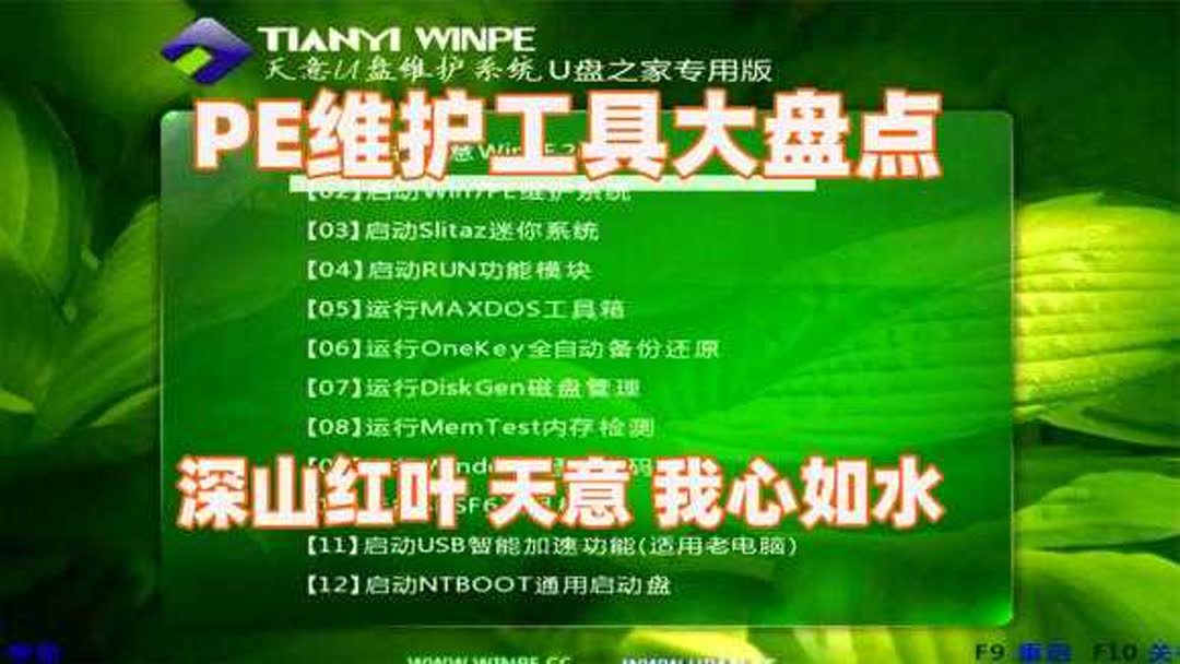 PE维护系统盘点,深山红叶?天意?我心如水?