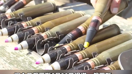俄外交官称:西方援乌武器出现在叙利亚