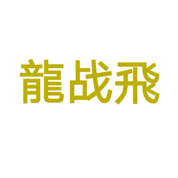 龙战飞游戏解说 