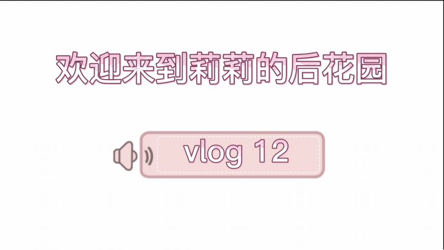 实习生六月的粗略总结 (老土一句)请七月对我好一点～