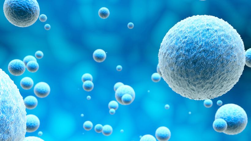 吃鱼腥草也会致癌?还能不能吃?听听医生怎么说