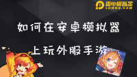 【雷电教学】如何在安卓模拟器上玩外服手游