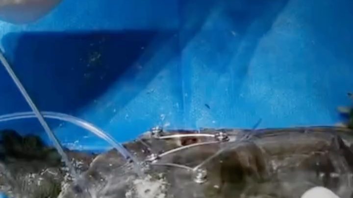 ...用钢丝螺钉固定外壳、安装负压引流和食道插管,赛博朋克版的龟龟...