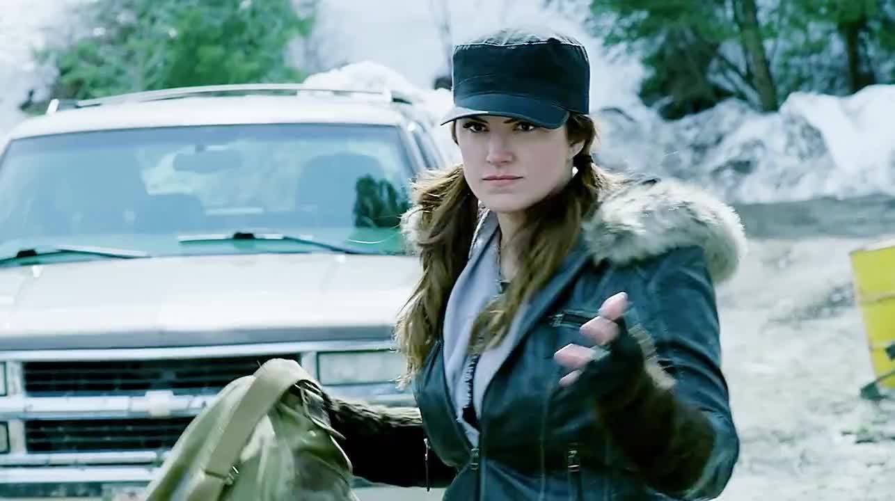 #美剧推荐 #犯罪悬疑 #动作电影