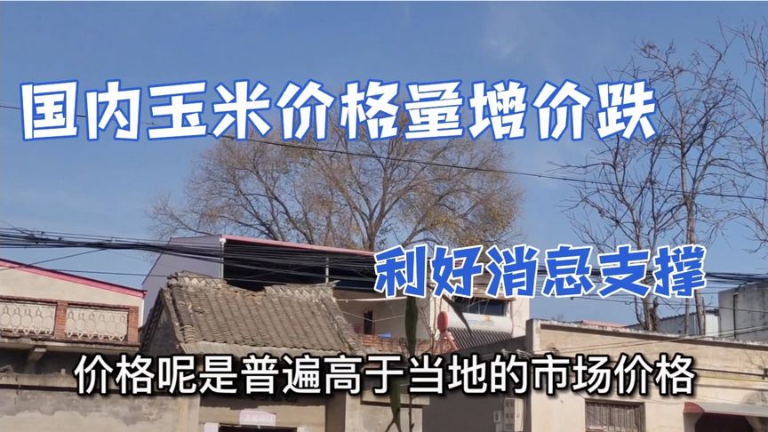 国内玉米价格量增价跌,好消息传出,或将对市场行情形成利好支撑