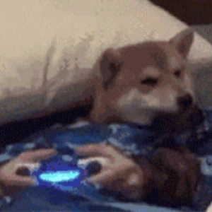 晚睡早起的饭饭酱 