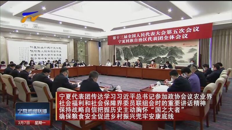 ...参加政协会议农业界社会福利和社会保障界委员联组会时的重要讲话...